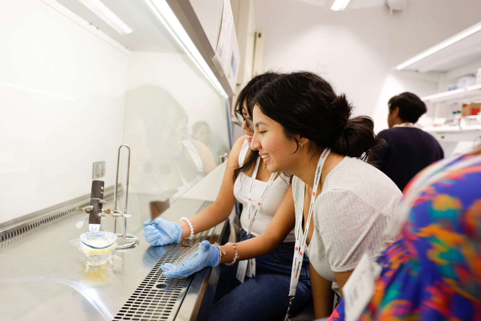 Undergraduate Student Experience | Meinig School of Biomedical Engineering