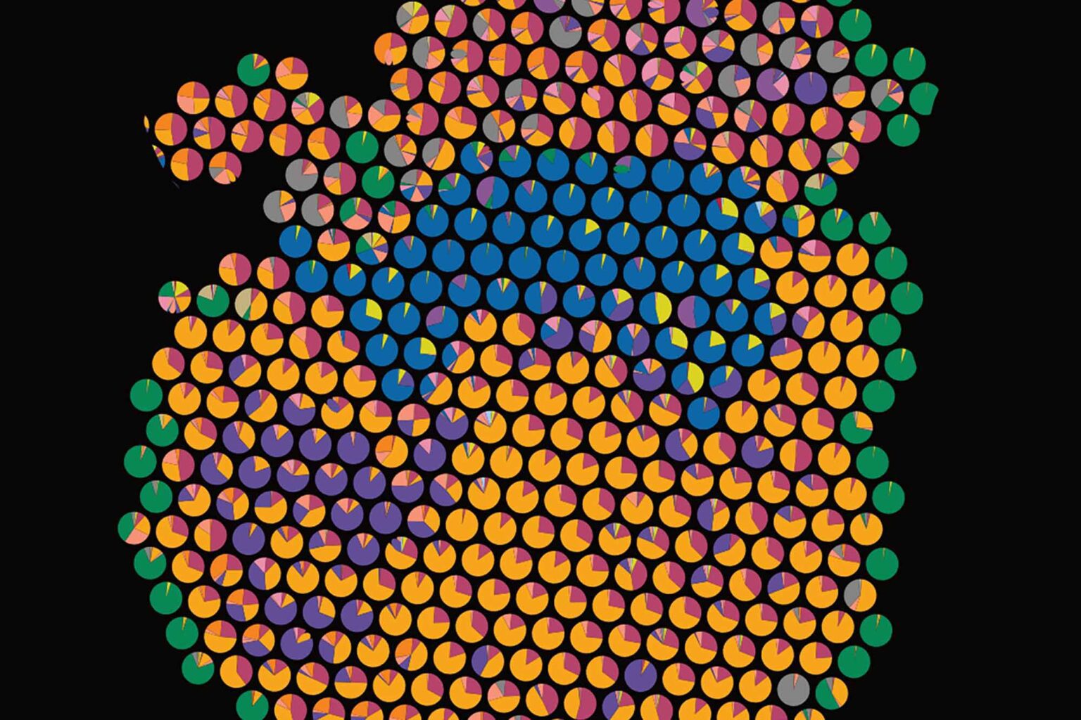 Major in Biomedical Engineering | Meinig School of Biomedical Engineering