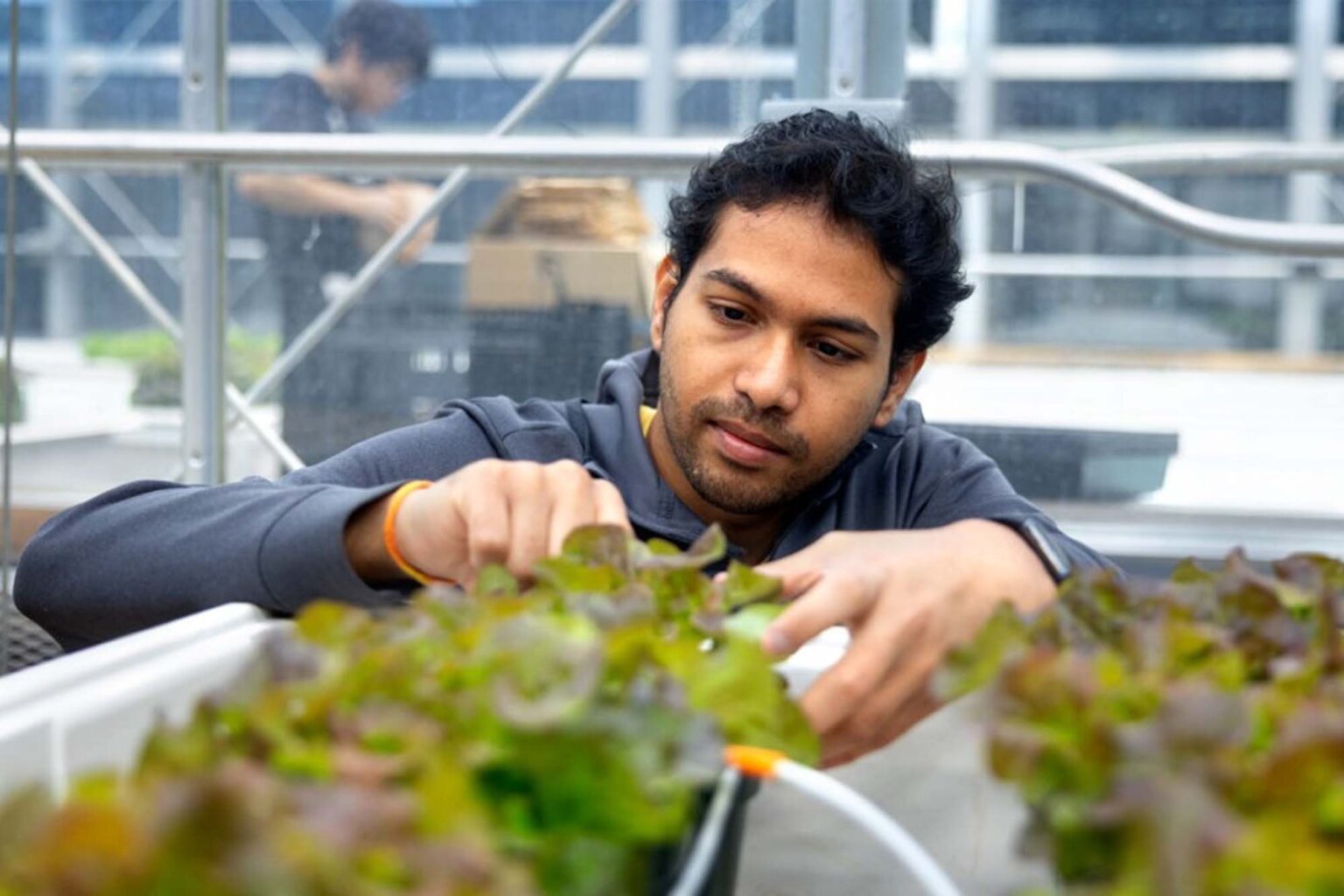 Research Groups | R.F. Smith School of Chemical and Biomolecular ...