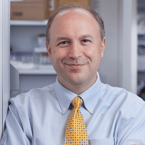 Biomechanics | Sibley School of Mechanical and Aerospace Engineering