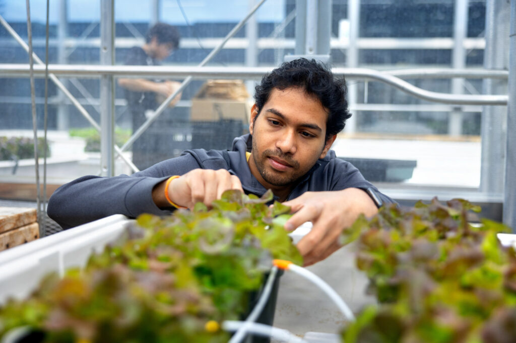 Ph.D. in Systems | Systems Engineering Program