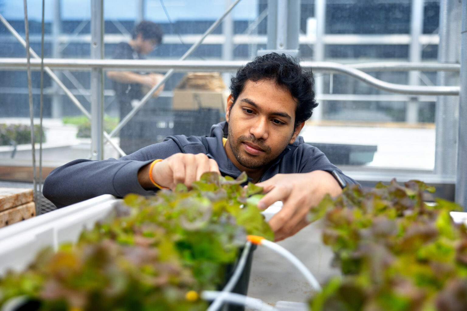 Ph.D. in Systems | Systems Engineering Program