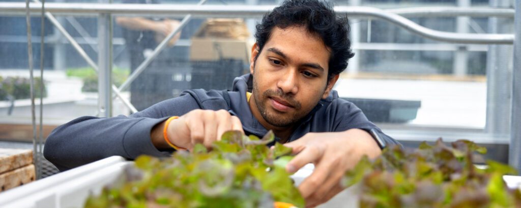 Ph.D. in Systems | Systems Engineering Program