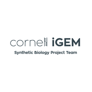 Active Project Teams | Cornell Engineering