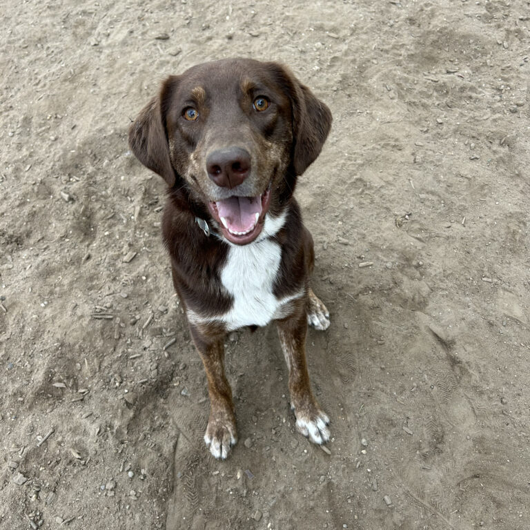 Morgan Mount | Cornell Engineering