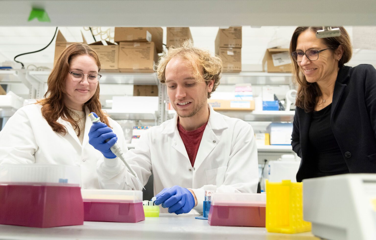 Choose Your Academic Pathway | Cornell Engineering